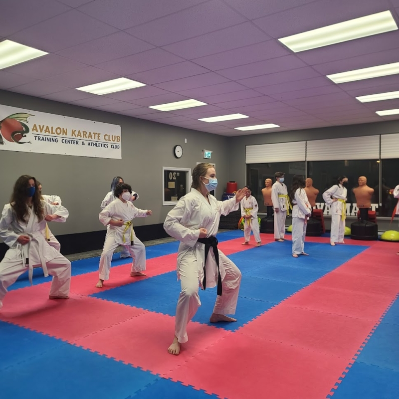Senior Karate Programs | Karate Lessons St Johns, NL | Avalon Karate